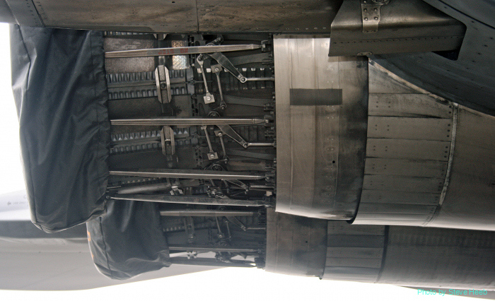 F-15 Eagle Reference - F-15 50th Anniversary STGB - Britmodeller.com